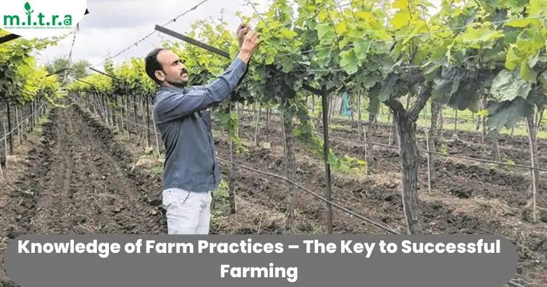 Unlocking Success: Farm Practices and Farming Knowledge